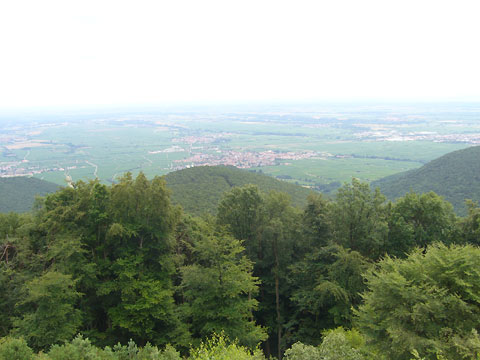 Kalmit schöne Aussicht Rheinebene Kalmithaus PWV-Hütte