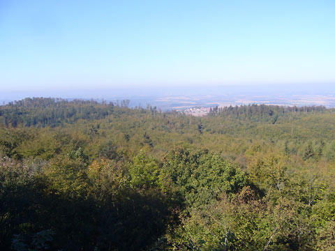 Aussicht Königsstuhl Donnersberg Wandertour Wandertipps Pfalz